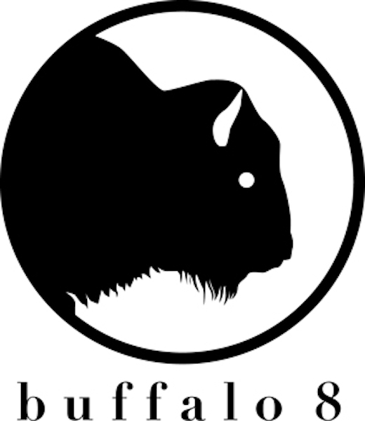 Buffalo 8: How To Sell an Independent Film & Actually Make Money – Hope ...